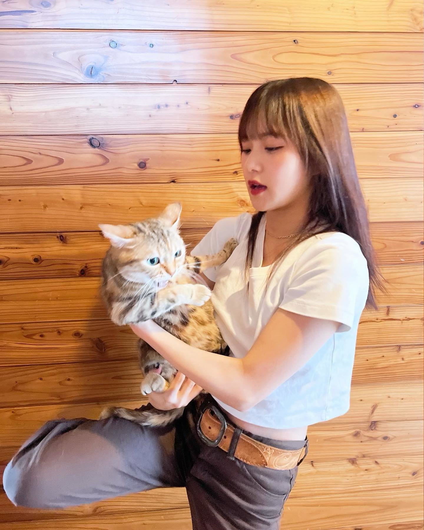 Picture Board - Hello!Online