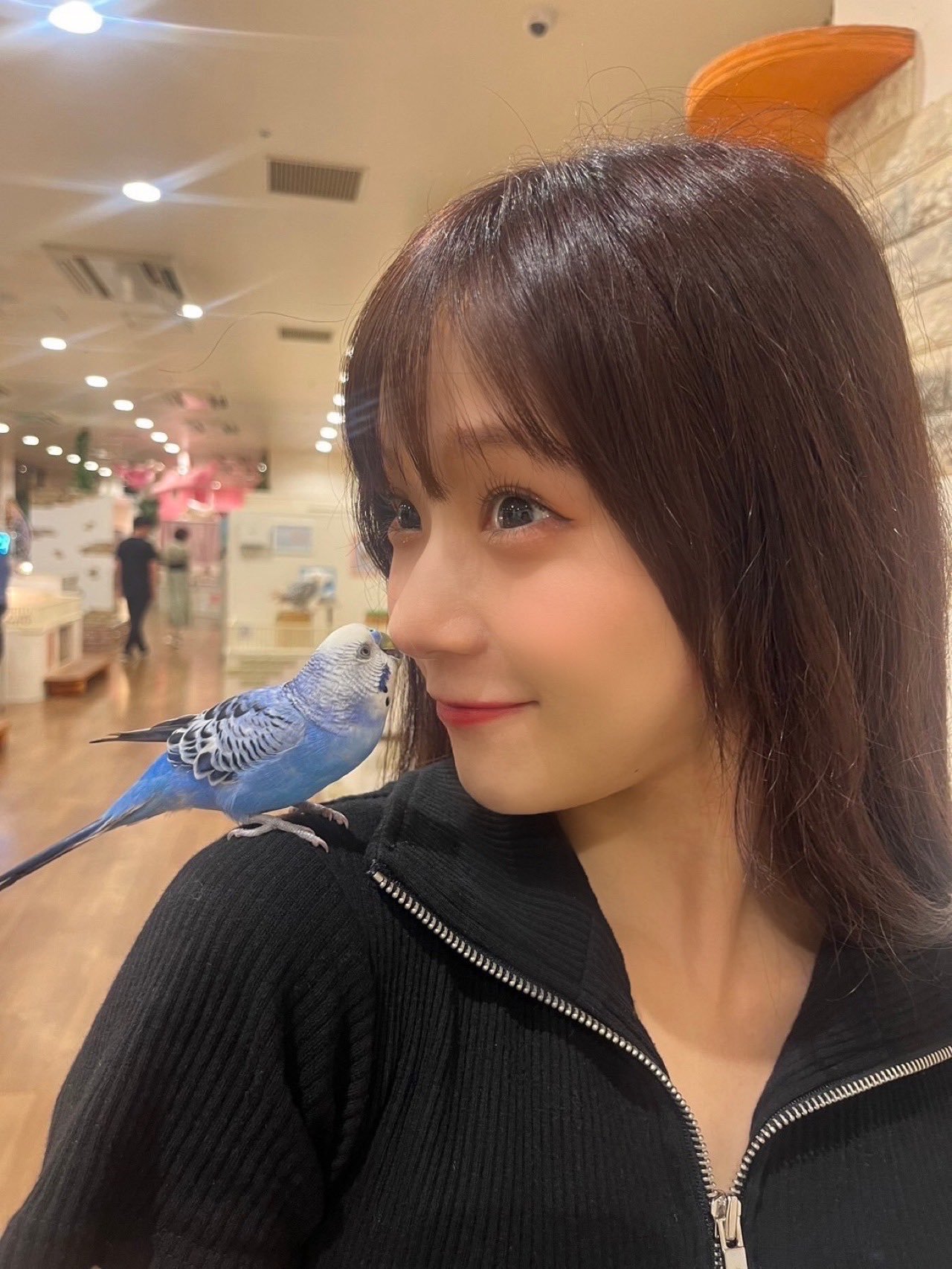 Picture Board - Hello!Online