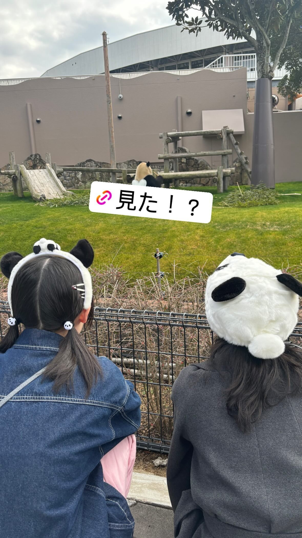 Picture Board - Hello!Online