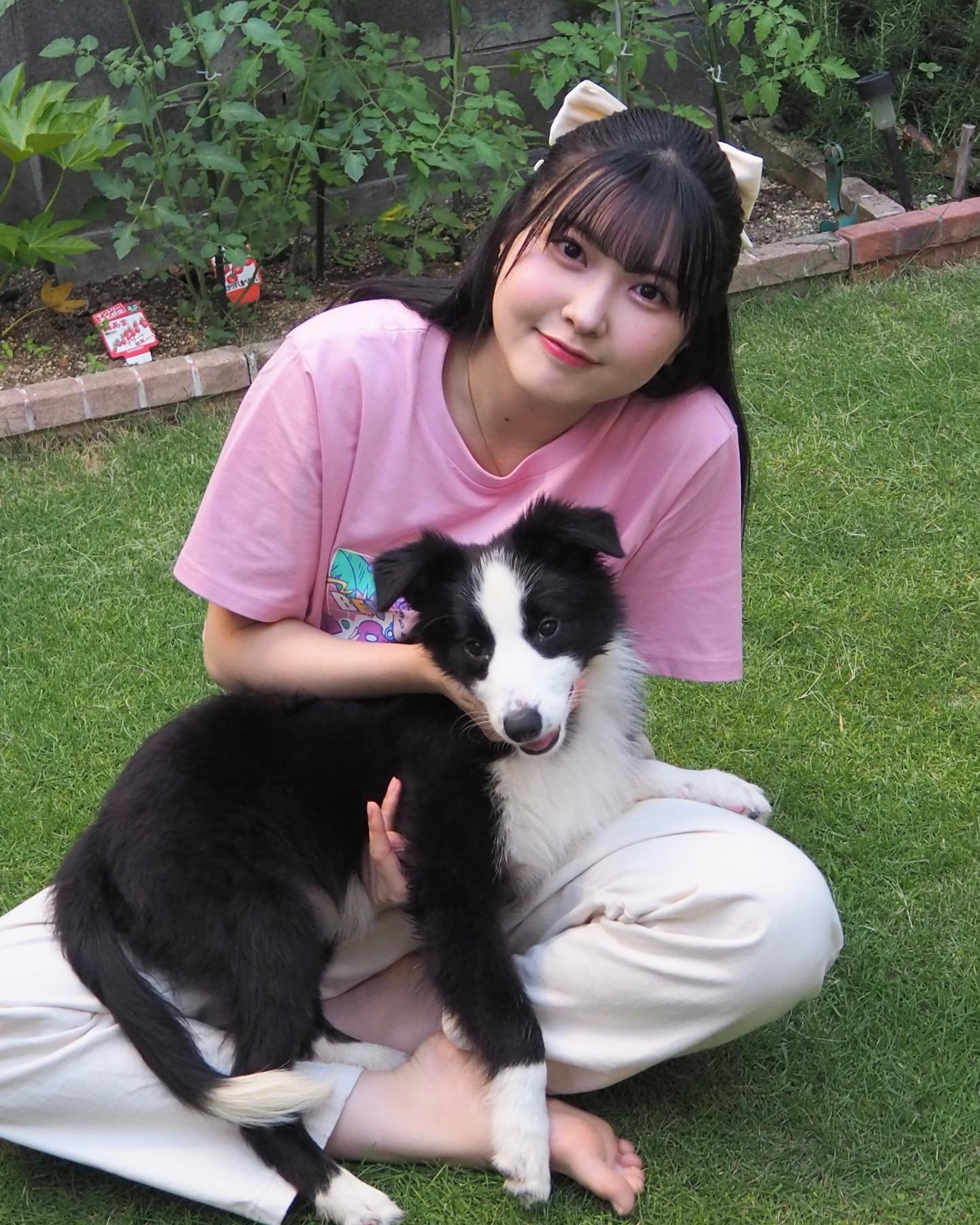 Picture Board - Hello!Online