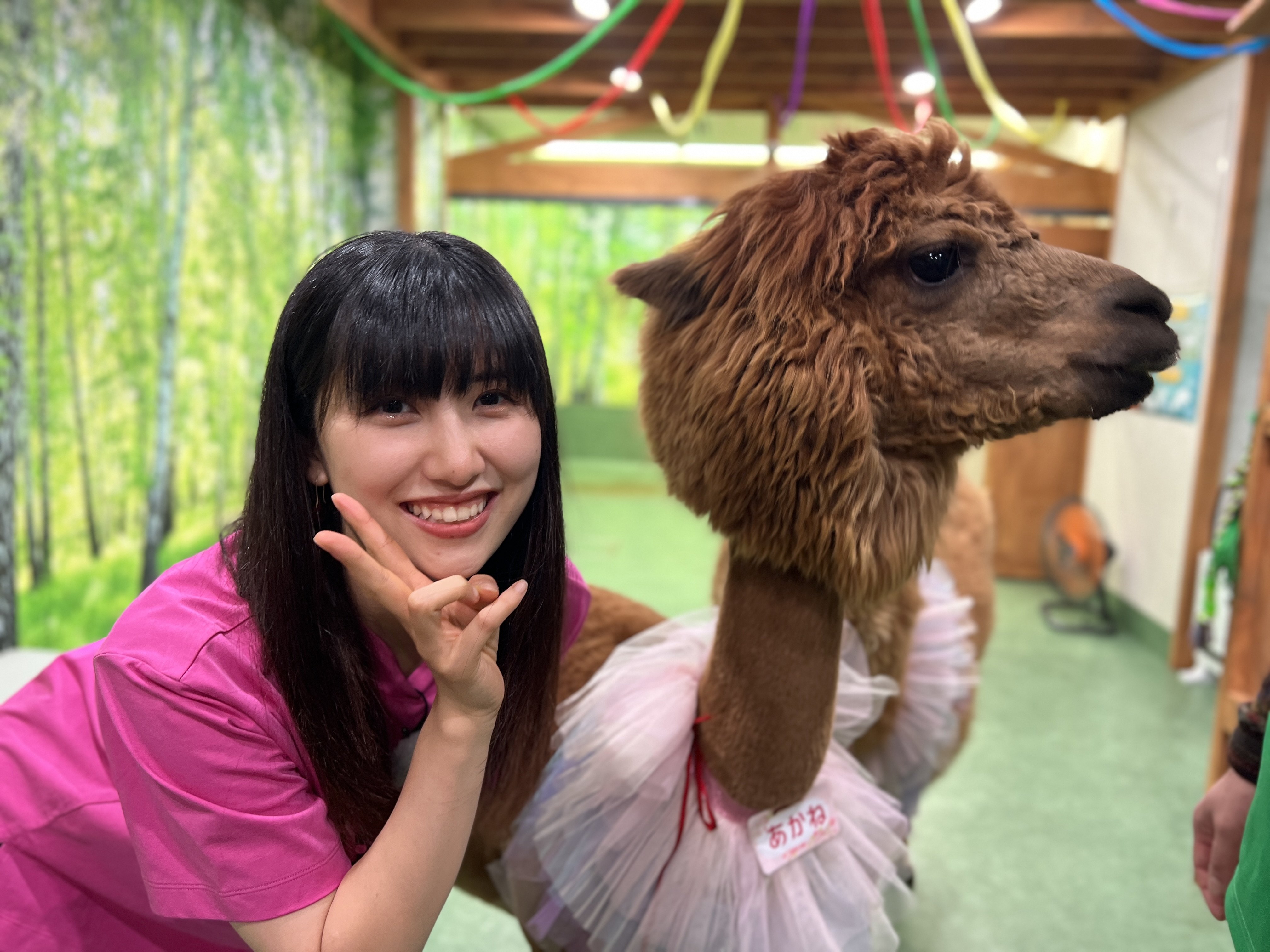 Picture Board - Hello!Online